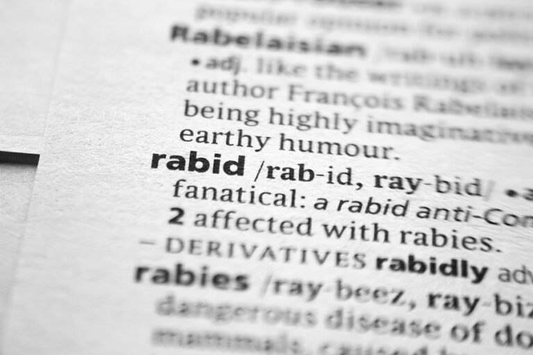 How to Recognize the Signs of a Rabid Animal in Virginia | Richmond ...